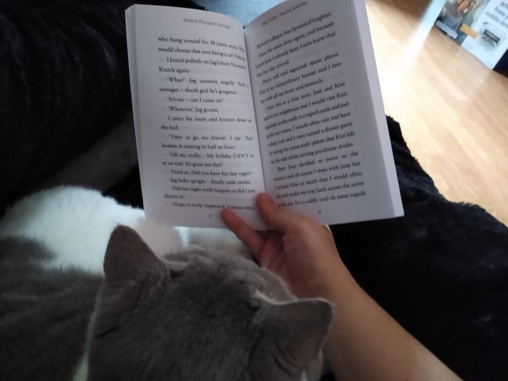 Archie and The Lawlor Cat Hotel | Book Review ⋆ Jupiter & Dann