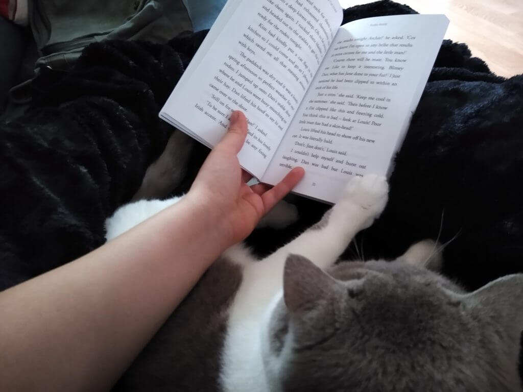 Archie and The Lawlor Cat Hotel | Book Review ⋆ Jupiter & Dann