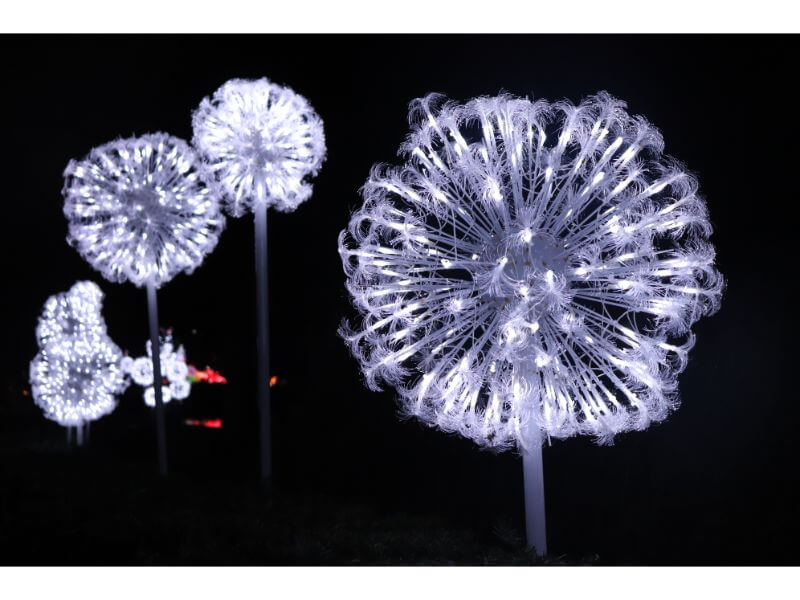 A Day Out at Lightopia 2020 ⋆ Jupiter & Dann