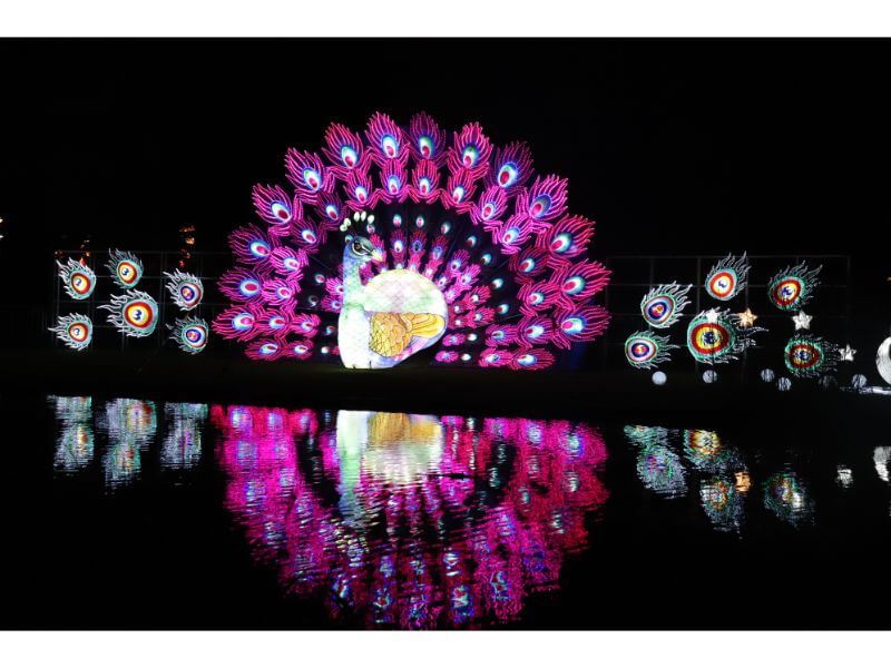 A Day Out at Lightopia 2020 ⋆ Jupiter & Dann