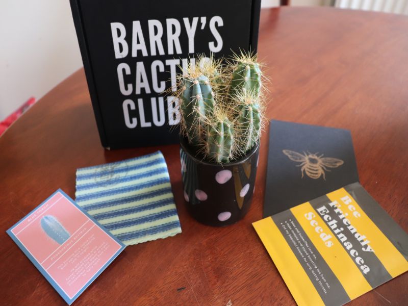 Barry's Cactus Club Plant Subscription | Review ⋆ Jupiter & Dann