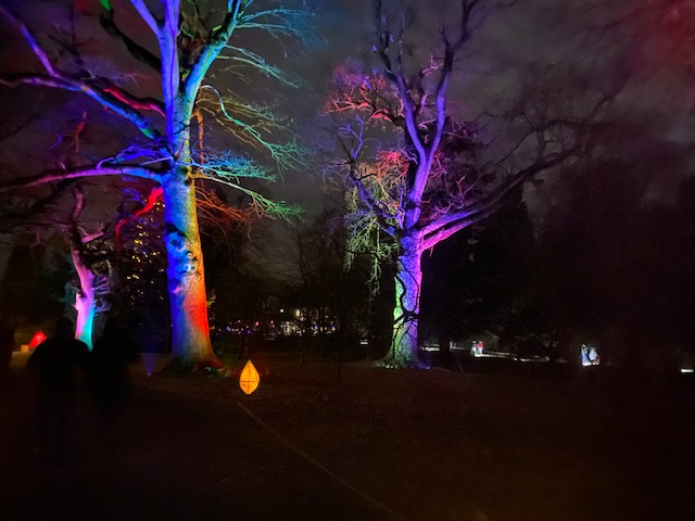 A Day Out at Glow Wild Wakehurst 2020 ⋆ Jupiter & Dann