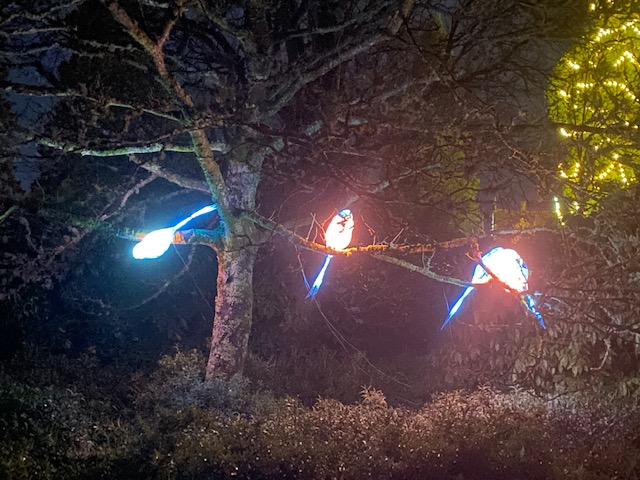 A Day Out at Glow Wild Wakehurst 2020 ⋆ Jupiter & Dann