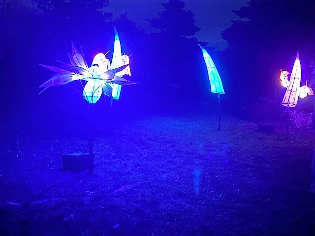 A Day Out at Glow Wild Wakehurst 2020 ⋆ Jupiter & Dann