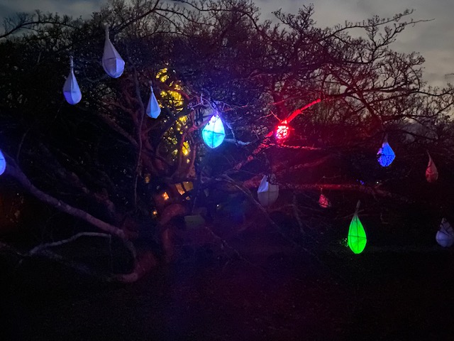 A Day Out at Glow Wild Wakehurst 2020 ⋆ Jupiter & Dann