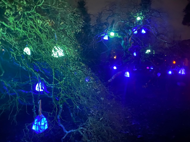 A Day Out at Glow Wild Wakehurst 2020 ⋆ Jupiter & Dann