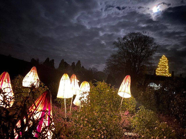 A Day Out at Glow Wild Wakehurst 2020 ⋆ Jupiter & Dann
