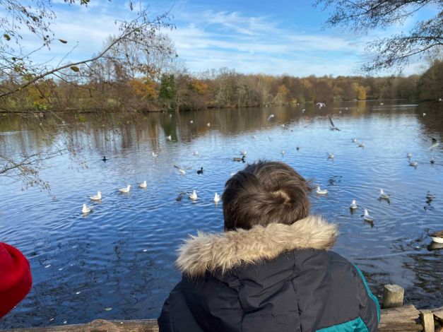 A Day Out at Weald Country Park ⋆ Jupiter & Dann