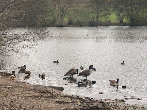 A Day Out at Weald Country Park ⋆ Jupiter & Dann